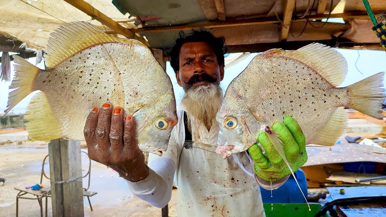 Pasumbiya Fish Cutting | Sickle Fish Cutting Skills - YouTube