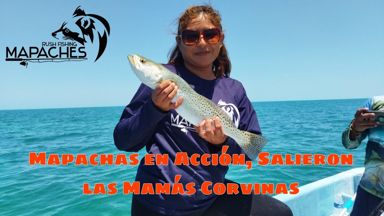 Pesca Yucatán| Salida con las Amigas Mapachas... Sacaron la casta por ...