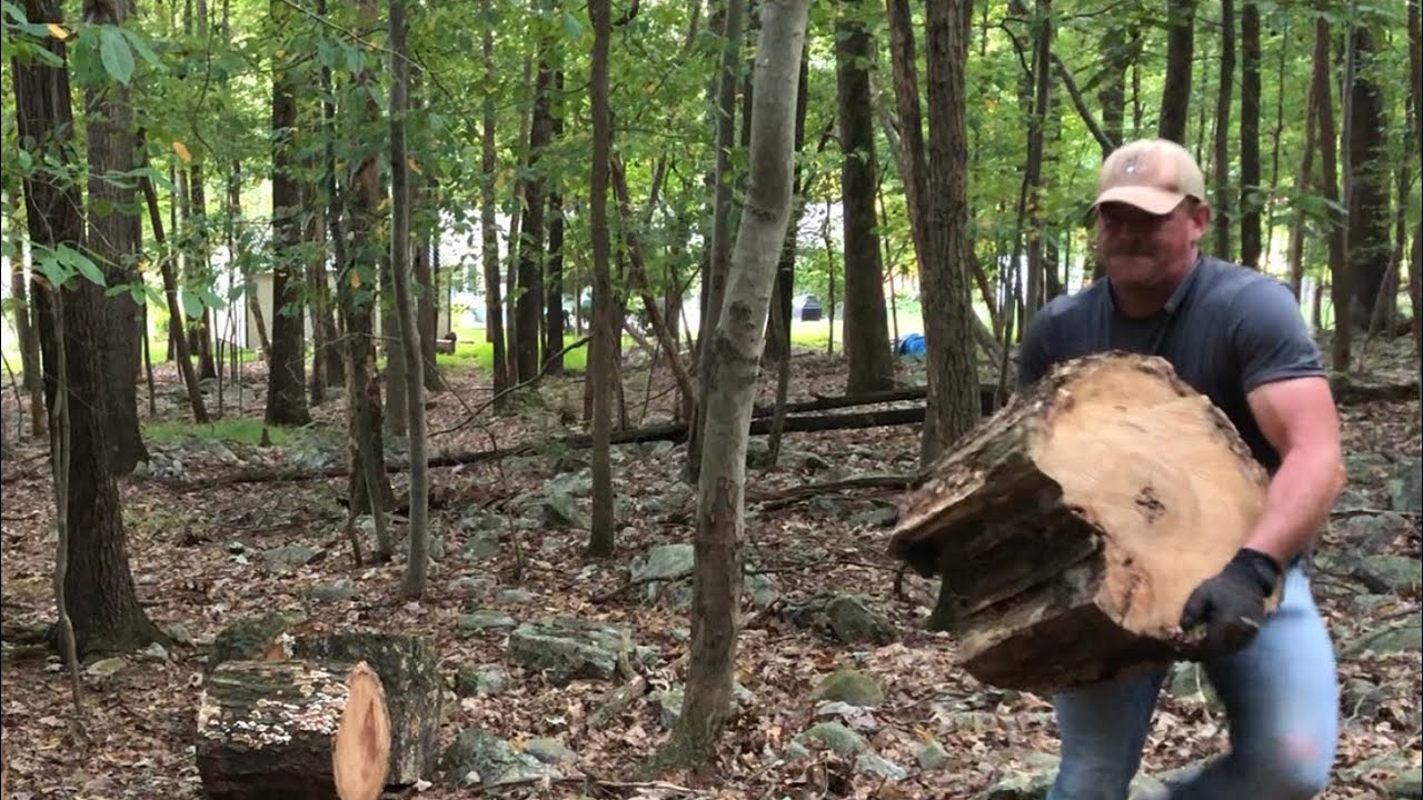 The forgotten RED OAK Heavy lifting Strong back weak mind !!! - YouTube