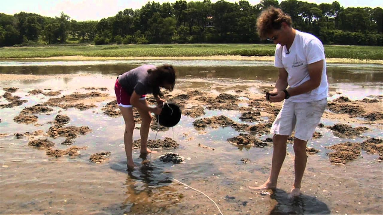 Blue Ocean Film Festival - How Do You See The Ocean Video Contest - YouTube