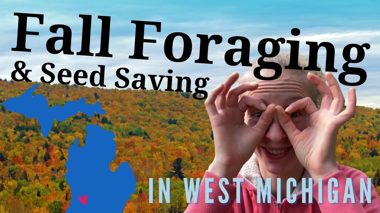 Midwest Fall Foraging | Foraging Plants & Seed Saving West Michigan ...