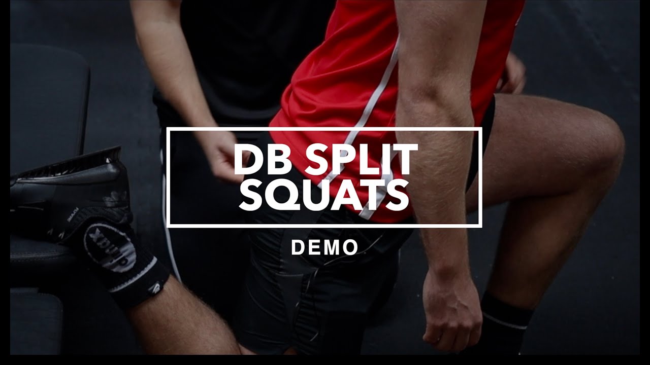 DB Split Squats Tutorial - YouTube