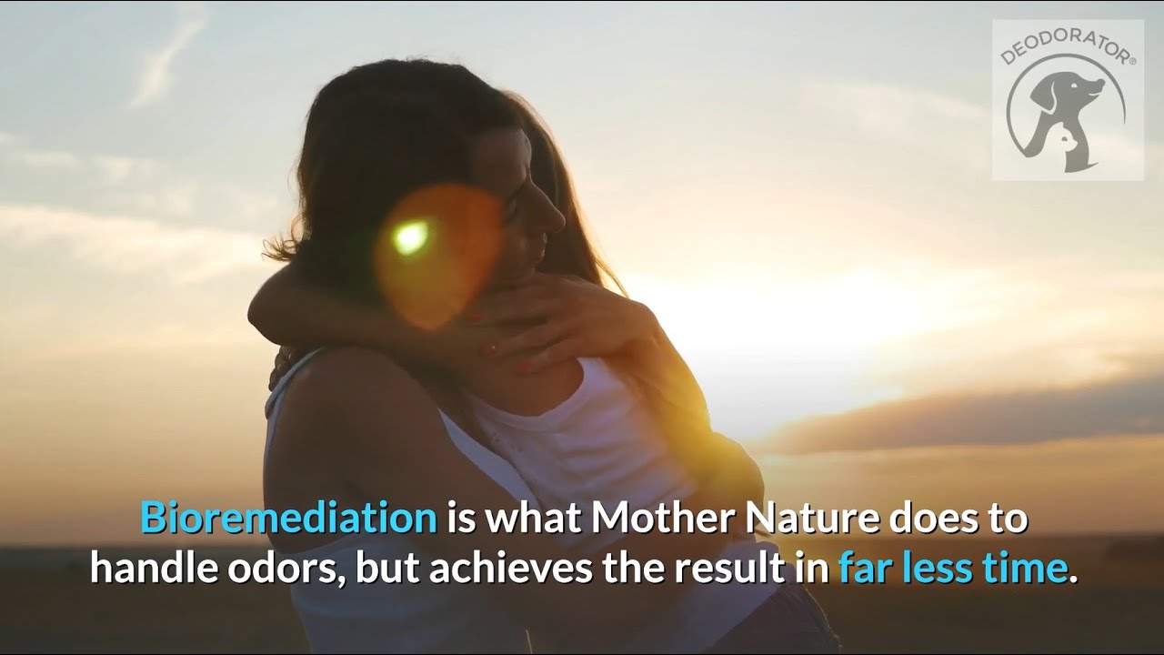 How Does Enzymatic Bioremediation Work? Here is a short clip for easy ...