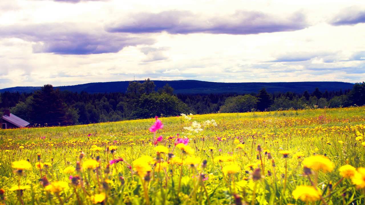 Daniel Linell - Awe I Piano I Royalty Free Music - YouTube