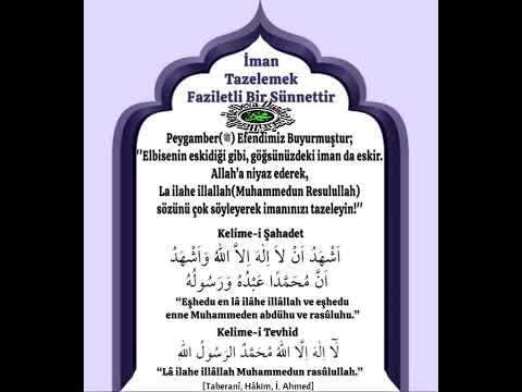 #islam #shots #shortsvideo #shorts #instagram #sağlık #huzur #namaz