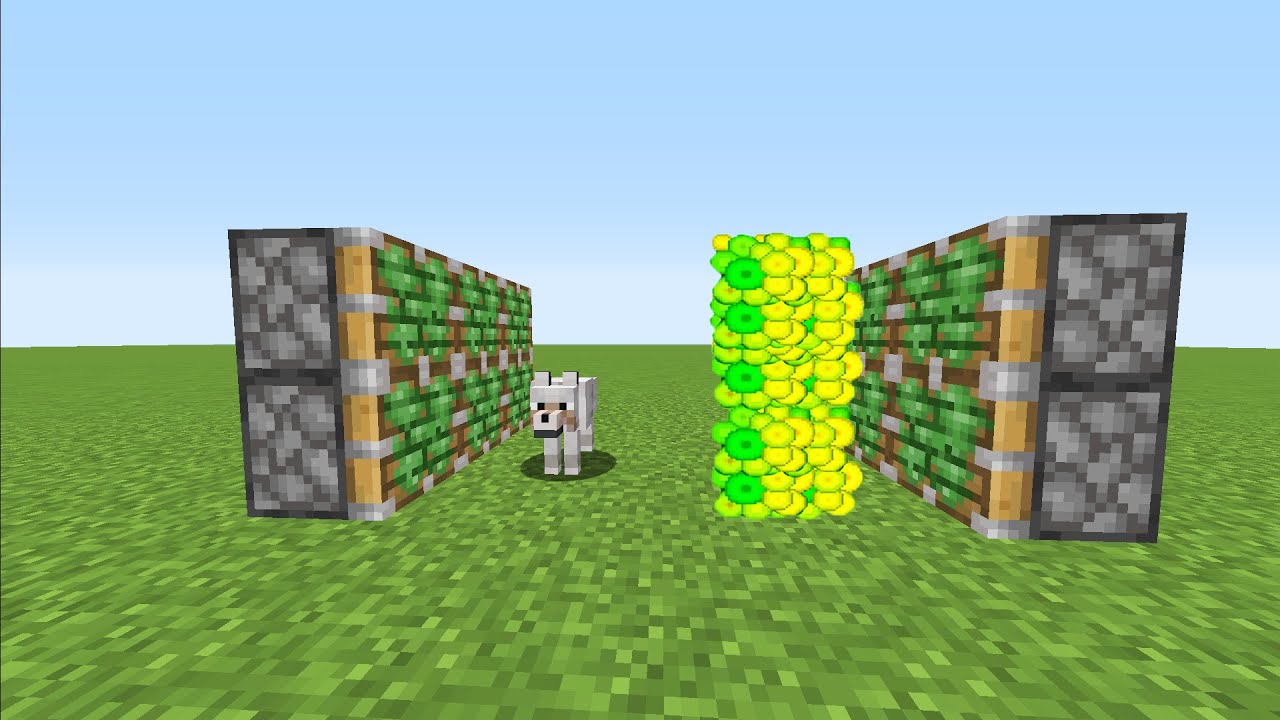 *ghast + xp = ??? | wolf + xp = ??? | minecraft textures - YouTube