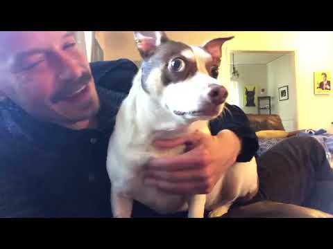 Mr Bubz and his best sounds vol 2 - YouTube