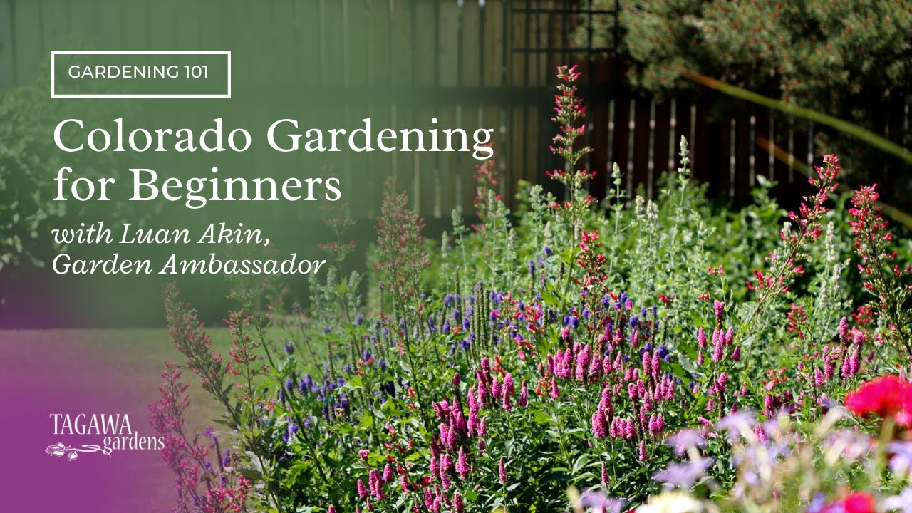 Planting A Flower Garden In Colorado | Fasci Garden