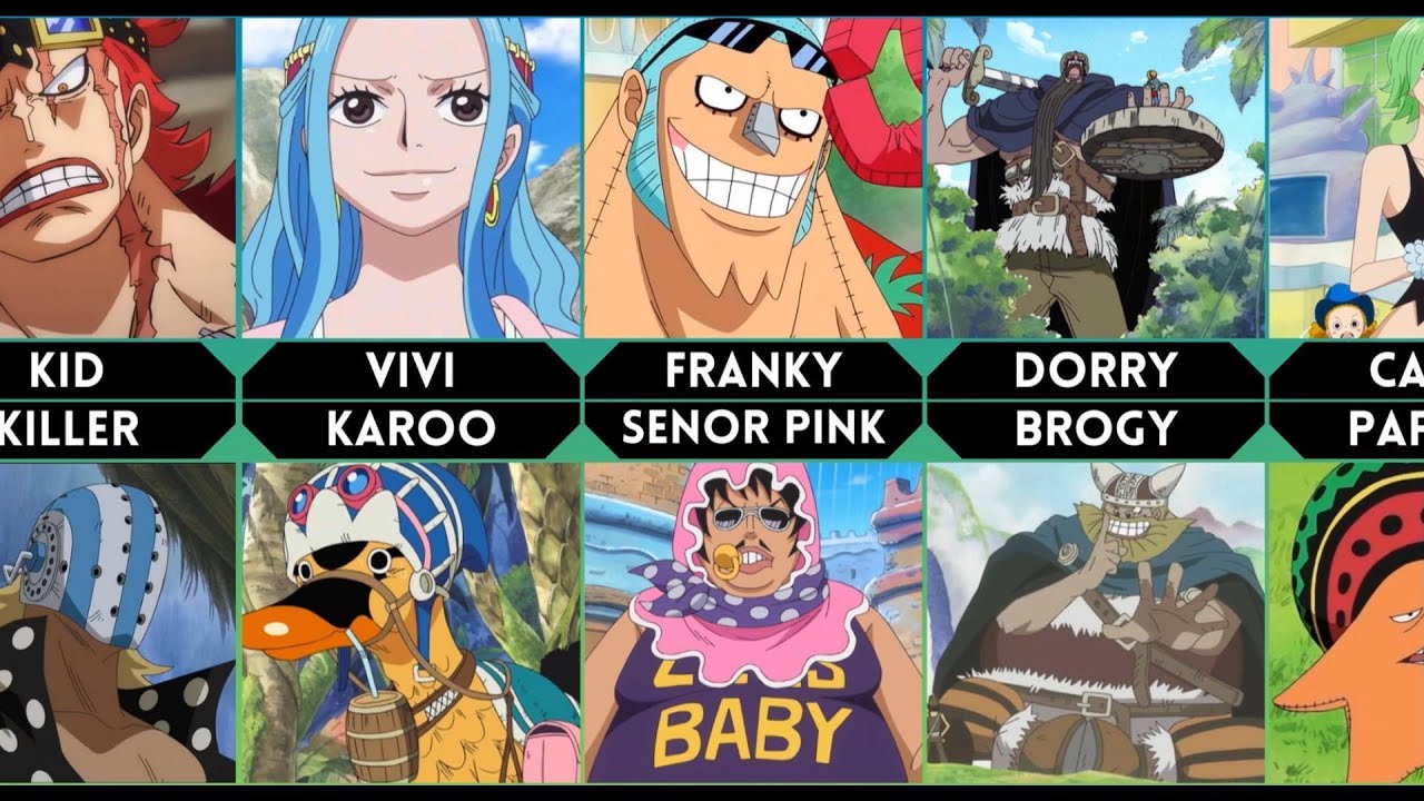 Best Friends of One Piece Characters - YouTube