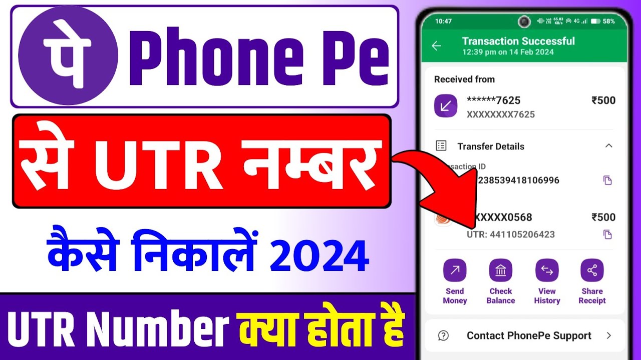 Phonepe UTR number check | phonpe me UTR number kaise nikale | phonepe ...