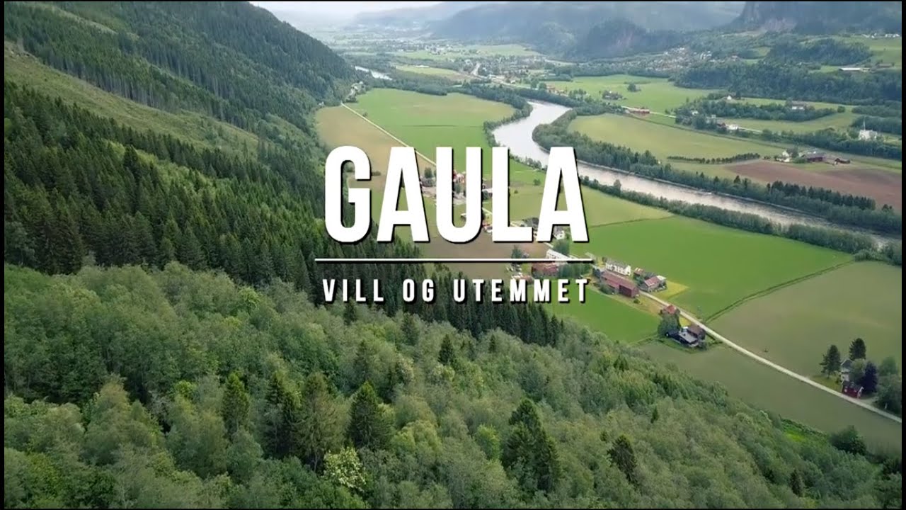 Gaula - Nasjonal lakseelv - YouTube