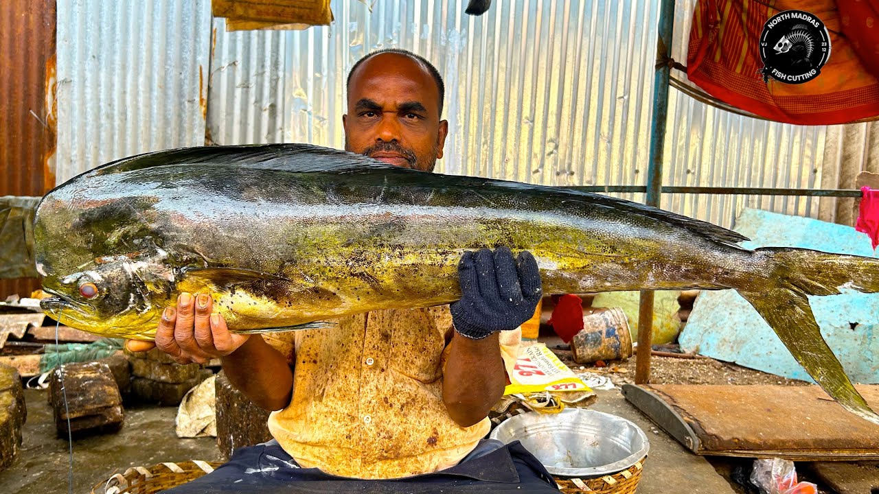 KASIMEDU 🔥 POONGAVANAM | MAHI MAHI FISH AMAZING CUTTING | 4K VIDEO | N ...