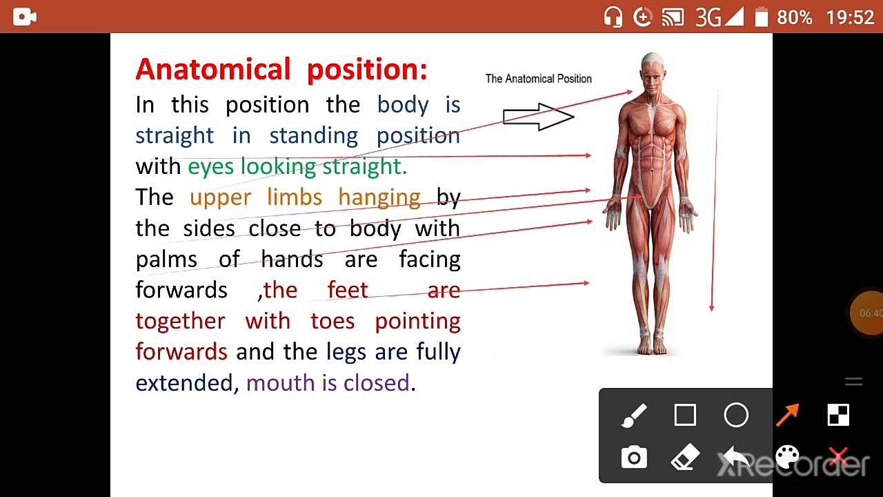 Lec 5 Anatomy and physiology (anatomical position) PT20-22morning by Dr ...