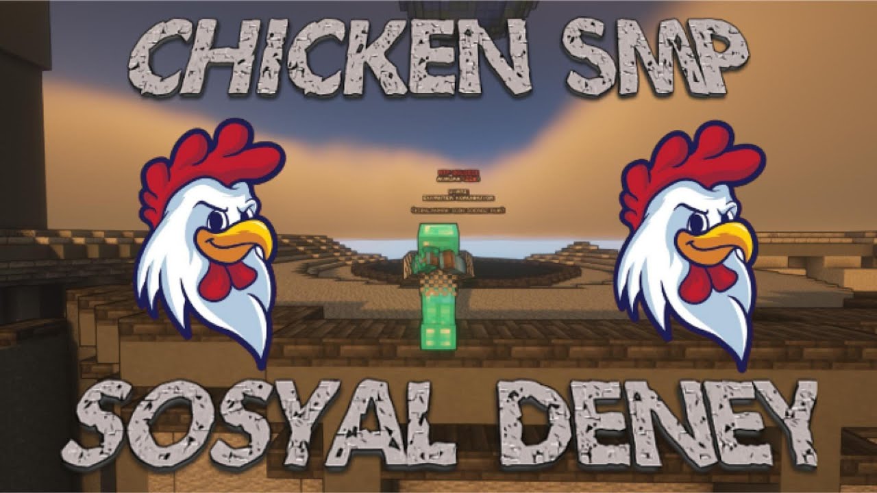 Chicken SMP - Sosyal Deney ! Başımıza Neler Geldi ! - YouTube