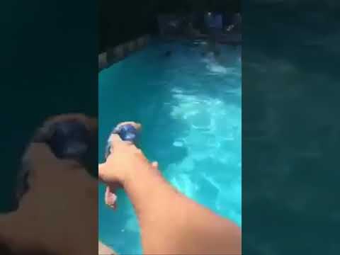 Beliau Ke Kolam #shorts