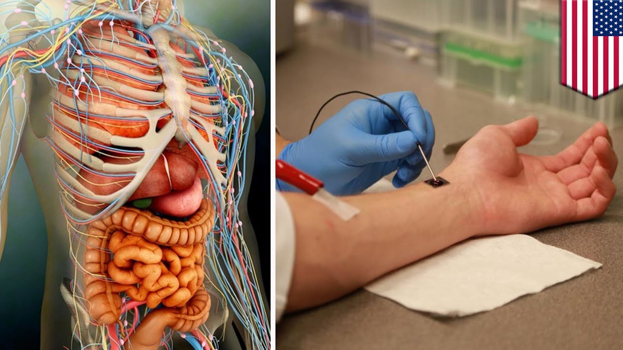 Cell regeneration: Nanochip can regrow organs, heal injuries with just ...