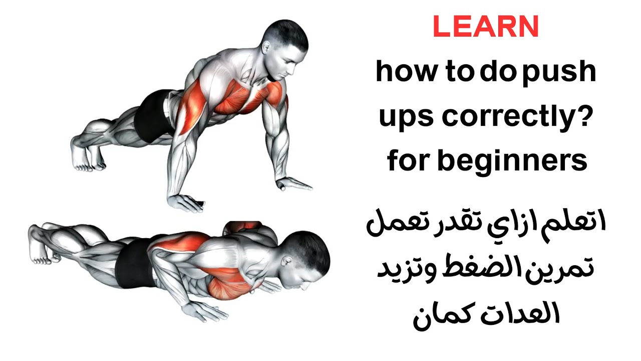 how to do push ups for beginners ! تعليم تمرين الضغط للمبتدئين - YouTube