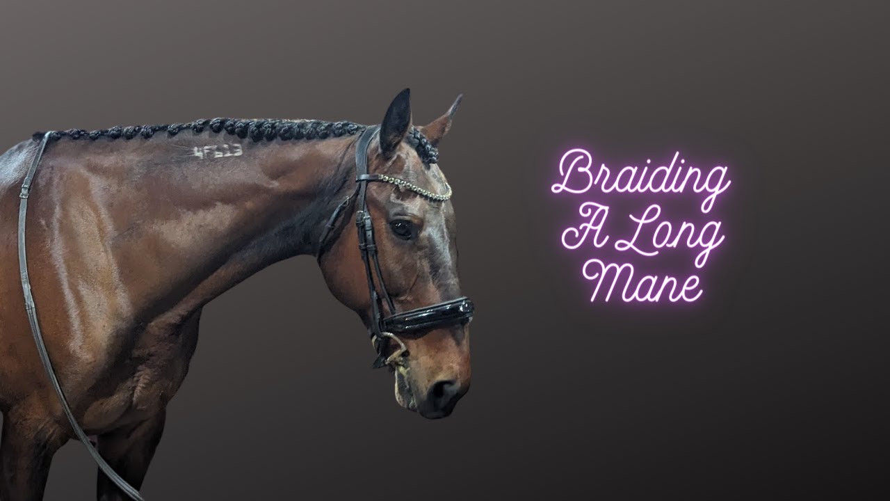 Braiding a long mane - YouTube