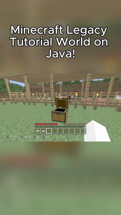 Minecraft Legacy Tutorial World on Java! - YouTube