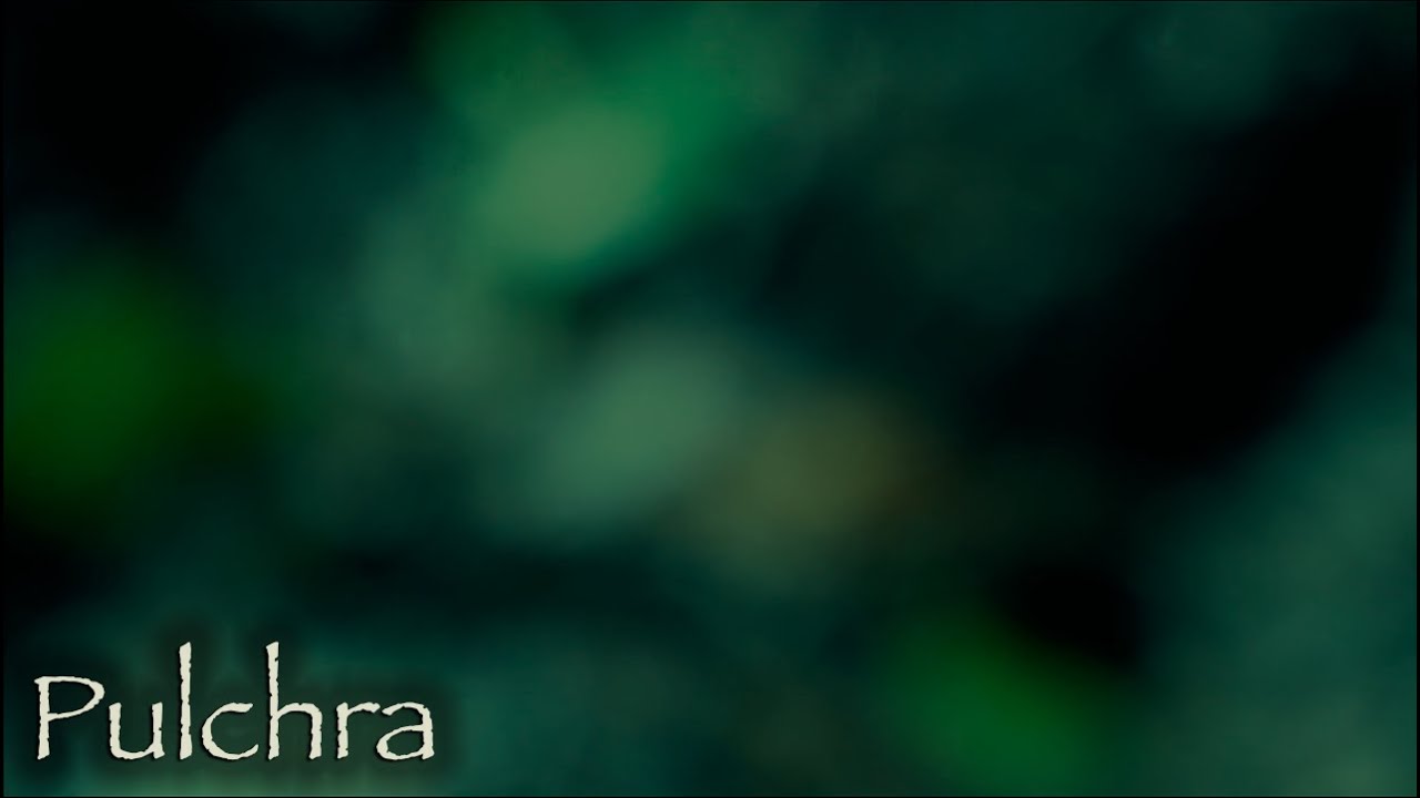 Pulchra - Ethereal Ambient Soundscape Music - YouTube