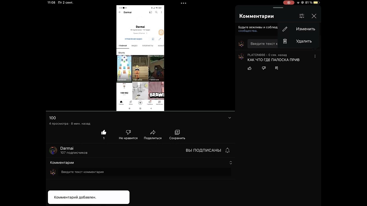 ГДЕ КРАСНАЯ ПАЛОСКА? - YouTube