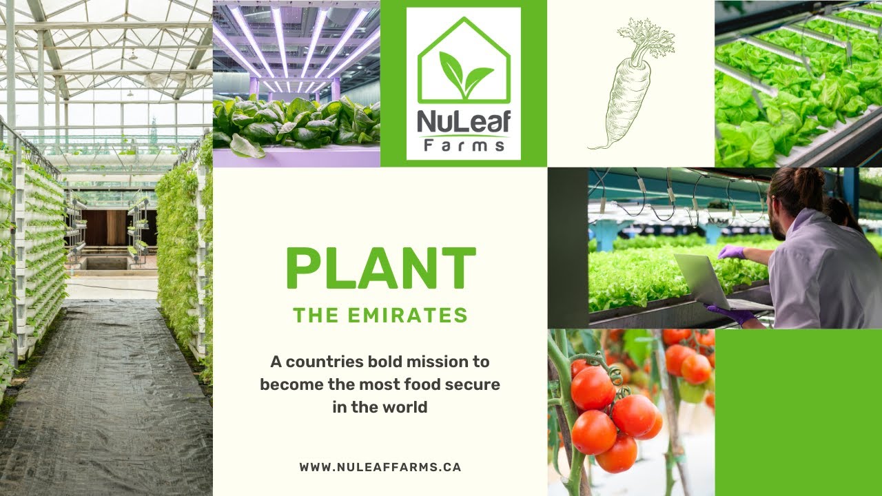UAE Leading the way to food Security #uae #food #hydroponics # ...