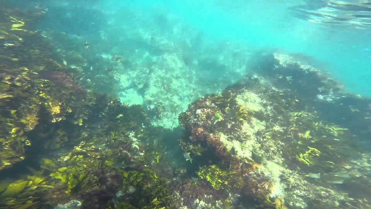 Marmion Marine Park - GoPro - YouTube