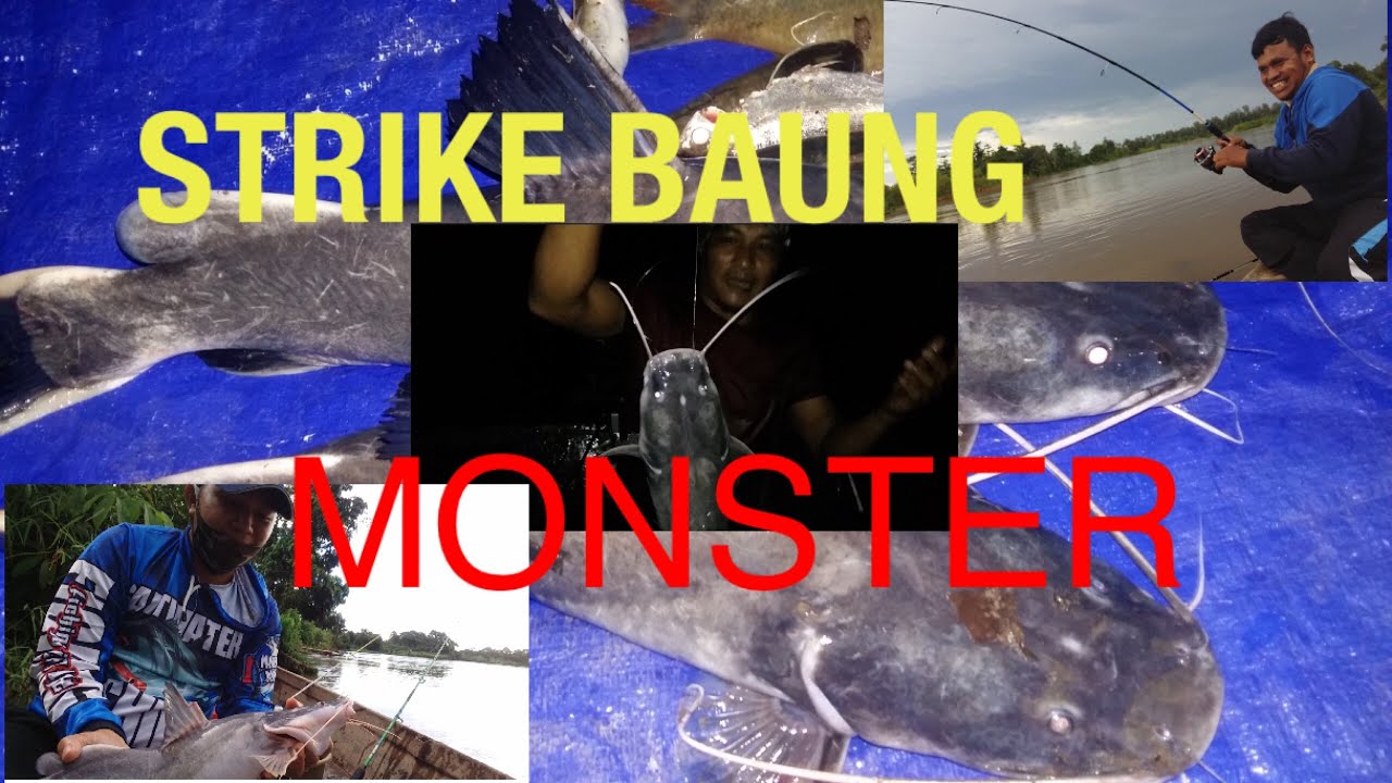Monster sungai?keluar juga air banjir - YouTube