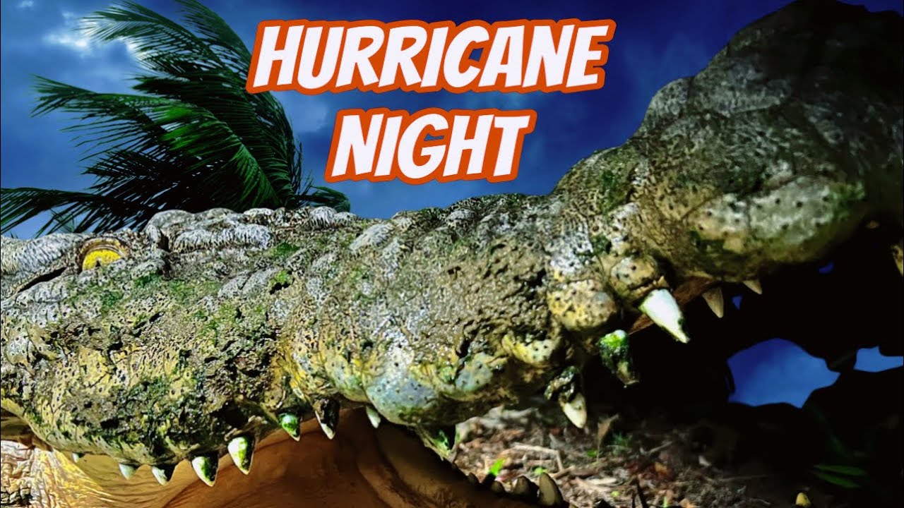 Overnight in a Hurricane with 2000 Alligators & Crocodiles‼️ - YouTube