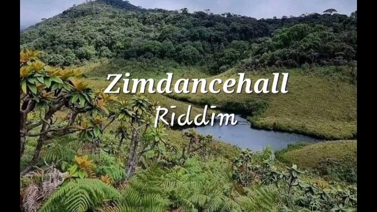 Free Zimdancehall Riddim Instrument [2023] - YouTube