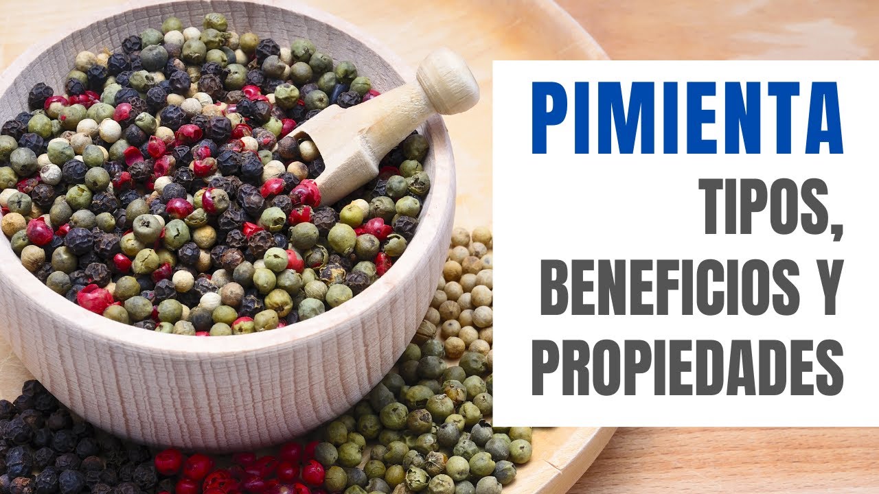 🥵 PIMIENTA: Tipos, BENEFICIOS y PROPIEDADES 🥵 - YouTube