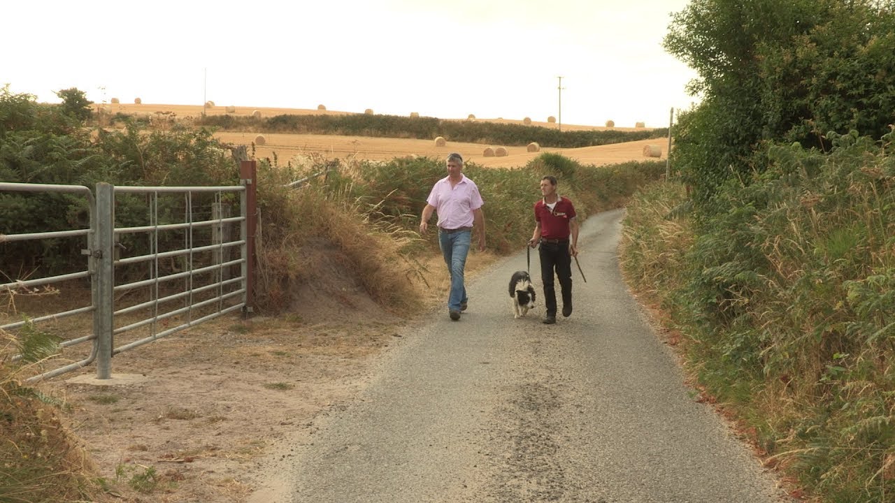 5. Sheepdog Trial, Int'l Supreme Champ Toddy Lambe & Paddy Fanning ...