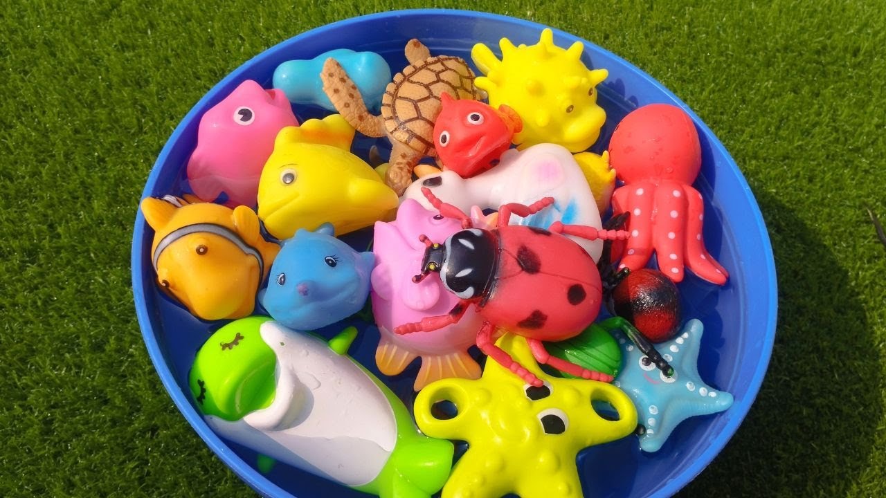 100 Sea Animals Collection, Sea Animal Fun Facts for Kids, underwater ...