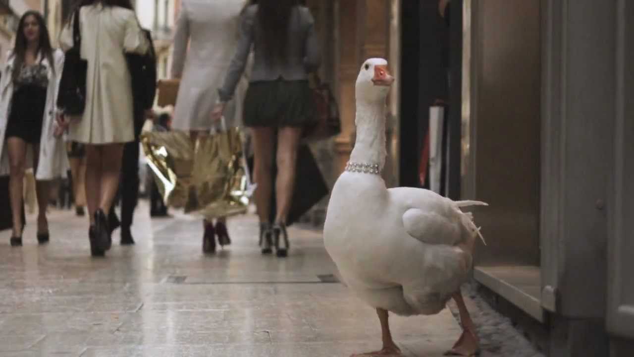 SKODA OCA COMMERCIAL - YouTube