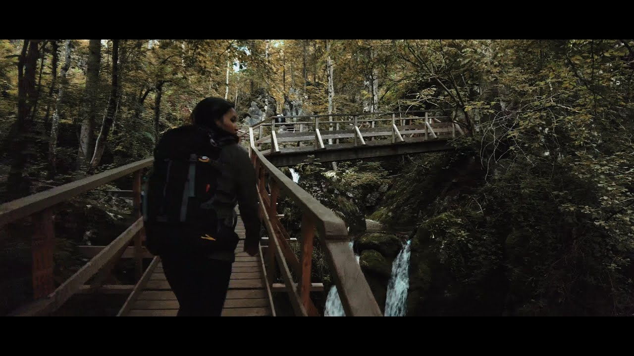 Myra Falls | Waterfalls Near Vienna | Austria | Hike - YouTube