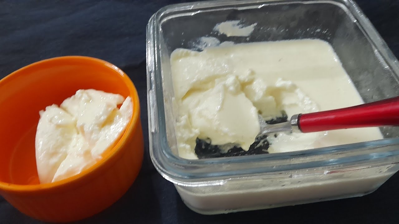 Tips to make perfect Curd at home#Curd setting #Dahi recipe#Yoghurt ...