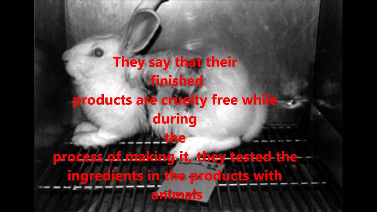Animal Testing Awareness Video - YouTube