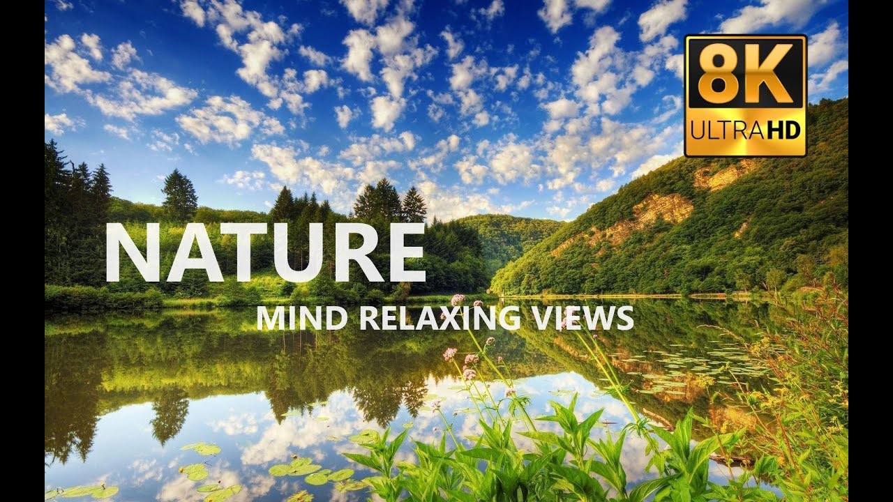 Nature 4k 8k video Most satisfying nature viral video most popular ...