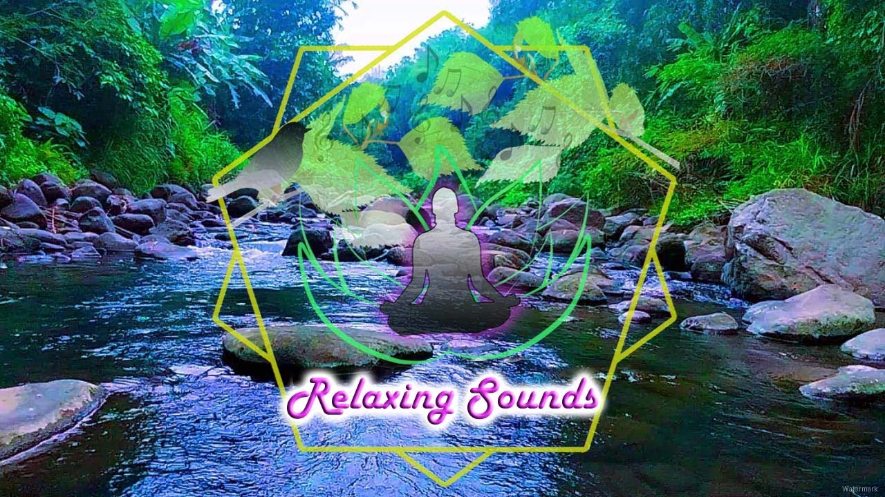 Relaxing Sounds Harmony - Calm Instrumental and Water Sound with Bird ...