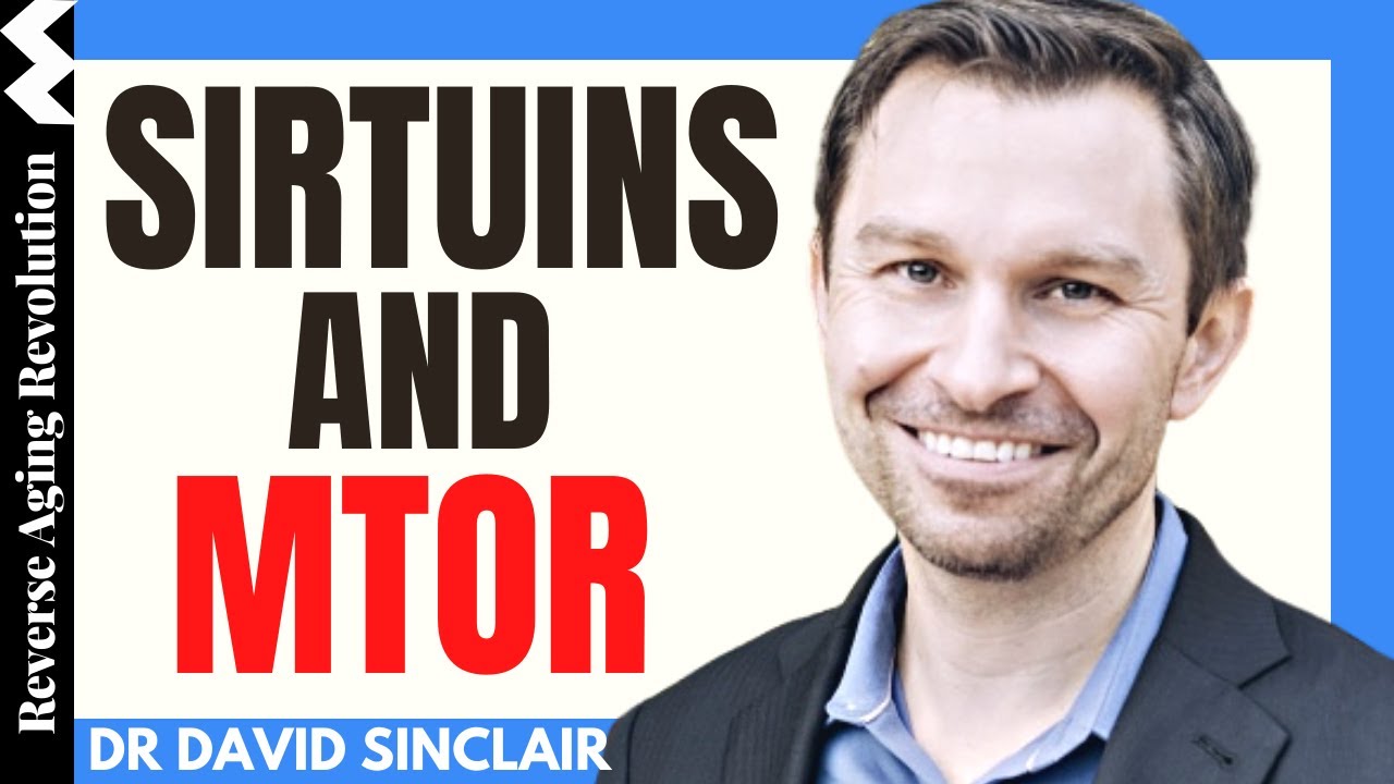 HOW mTOR And Sirtuins Impact Our Longevity | Dr David Sinclair ...