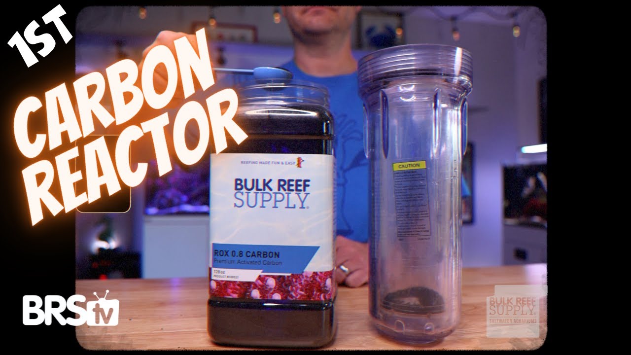 Beginner to Pro... Reef Tank Carbon Reactors Are Essential Gear! - YouTube