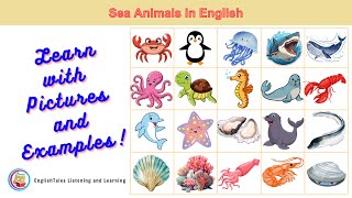 Sea Animals in English | English Vocabulary | Learn Eng... | Doovi