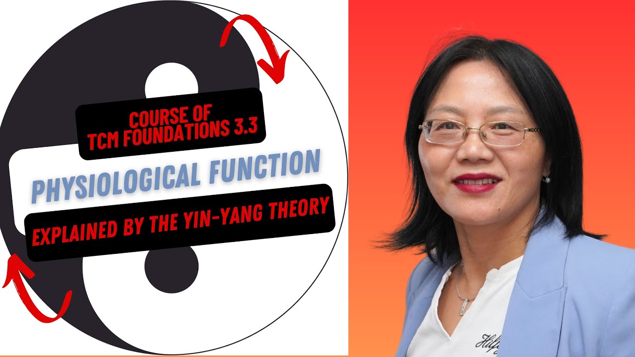 Why use Zang-fu Organ Yang Qi to denote Zang-fu Organ Functions?【TCM ...