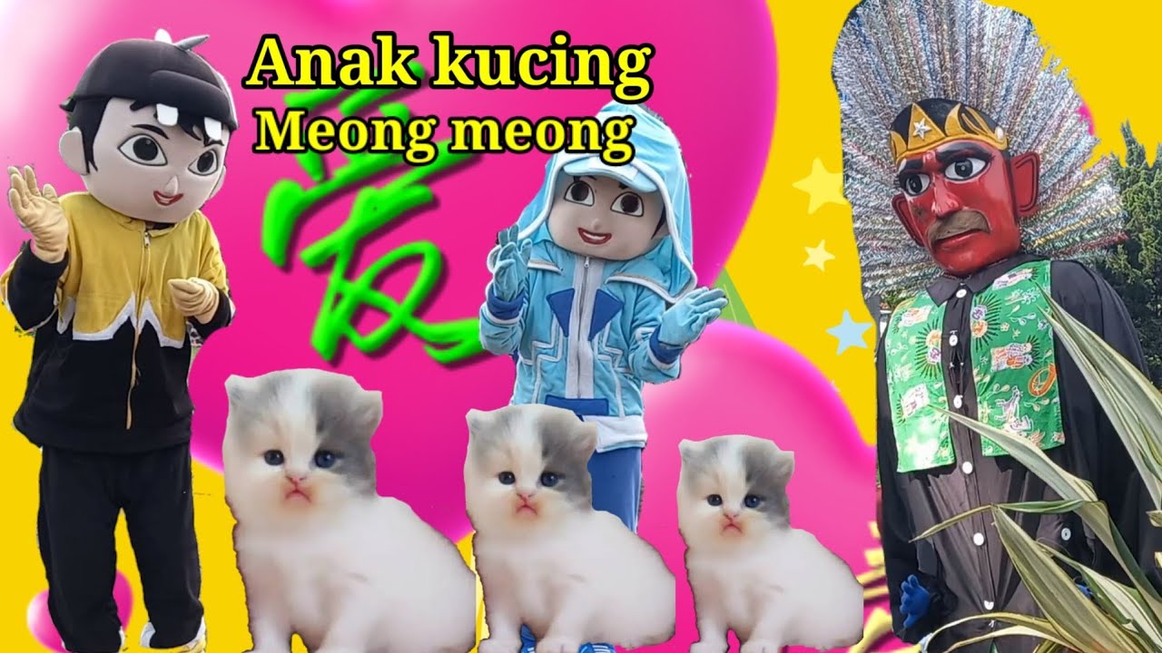 BADUT BADUT JOGET ANAK KUCING MEONG MEONG || LAGU ANAK KUCING MEONG ...