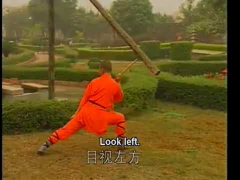Shi de Ci - Shaolin Qimei Staff