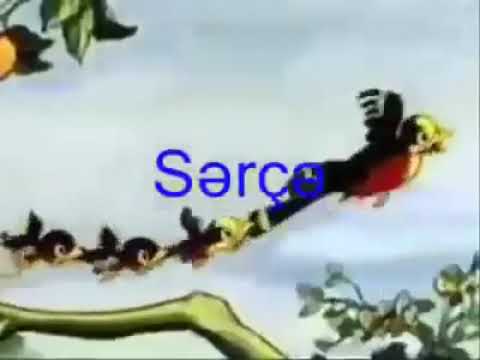 Azeri kızdan şarkı süper