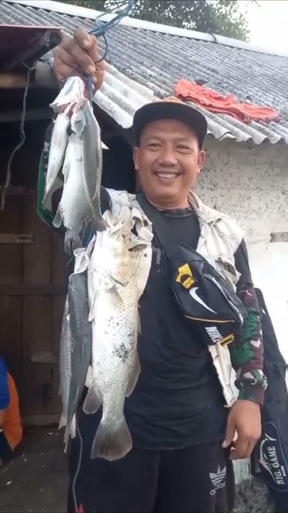 Mancing dari sore sampai malam pulang pagi #shorts - YouTube