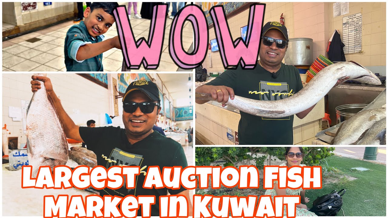 Exploring one of the Largest Fish Market in Kuwait|| Fish Auction ...