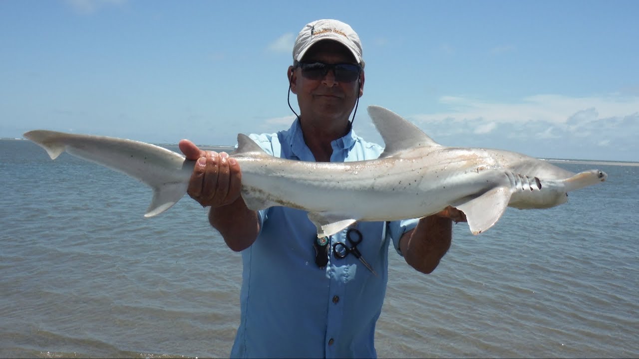 Jiggin' Jerry, Surf Fishing June 2019 - YouTube