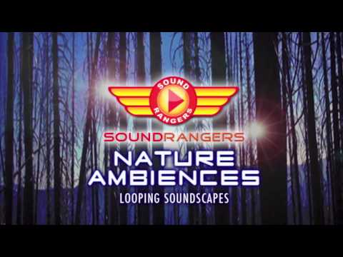 Soundrangers Nature Ambiences - Looping Soundscapes - YouTube